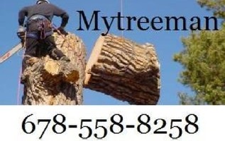 My Treeman Tree Service Marietta, GA, 30066 | Networx