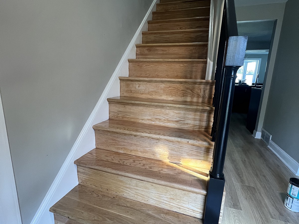 SAP Painting Construction Inc Philadelphia, PA, 19111 | Networx