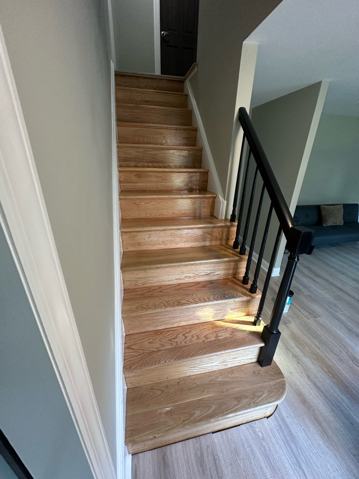 SAP Painting Construction Inc Philadelphia, PA, 19111 | Networx