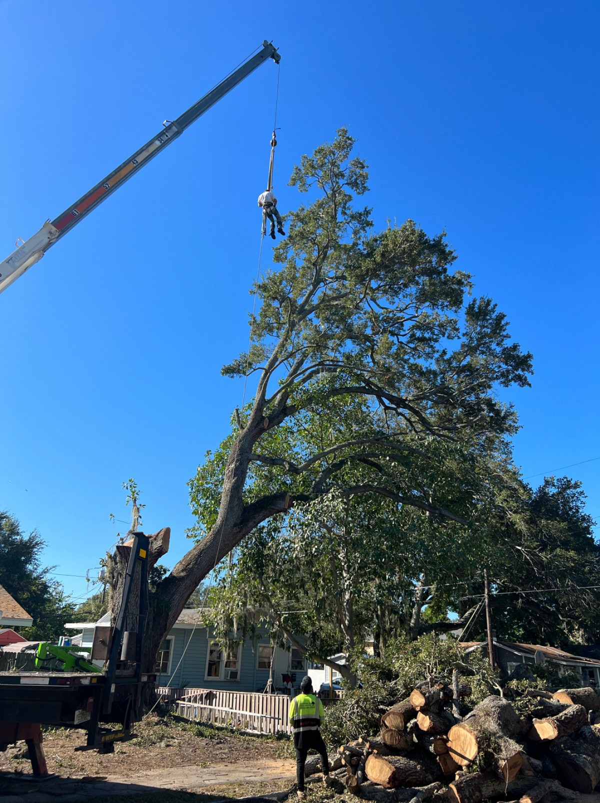 Technical Trees and Landscaping St. Petersburg, FL, 33712 | Networx