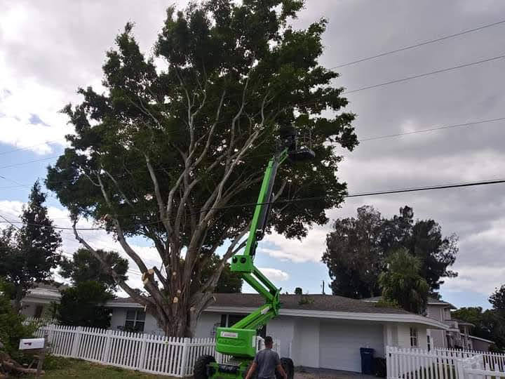 J&K Tree Experts LLC Jacksonville, FL, 32217 | Networx