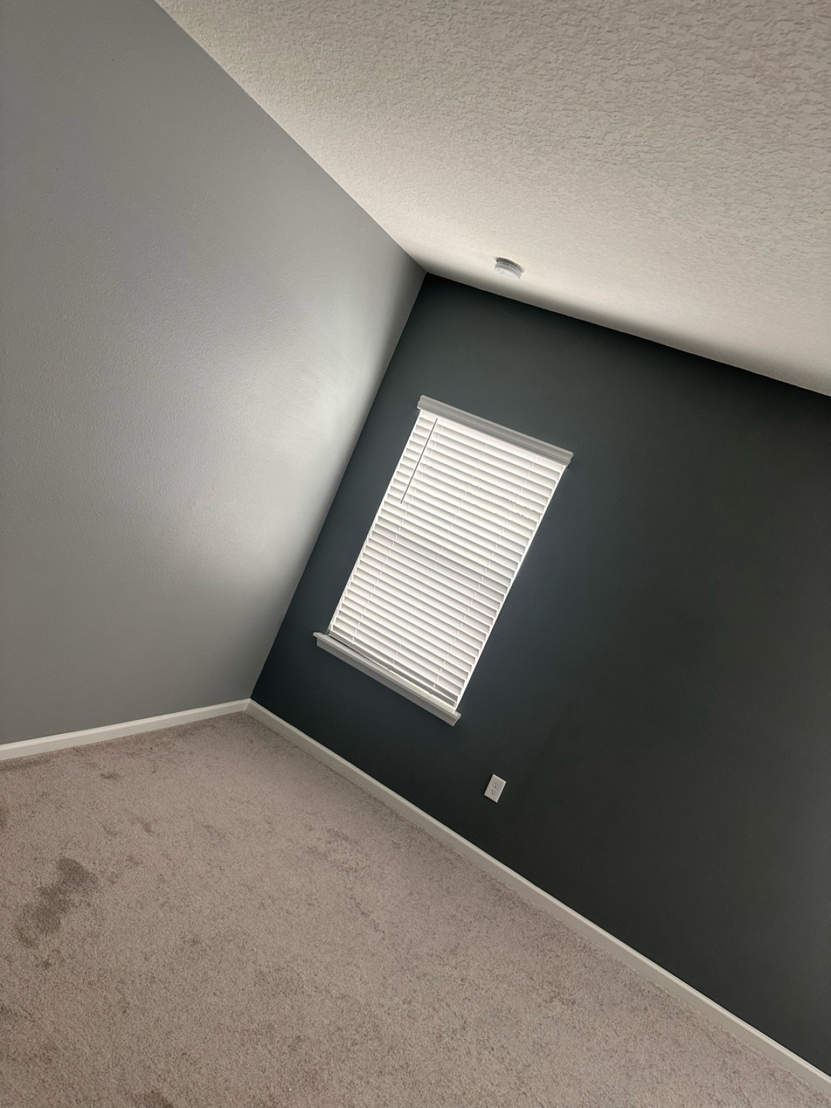 Wise Properties Jacksonville, FL, 32218 | Networx