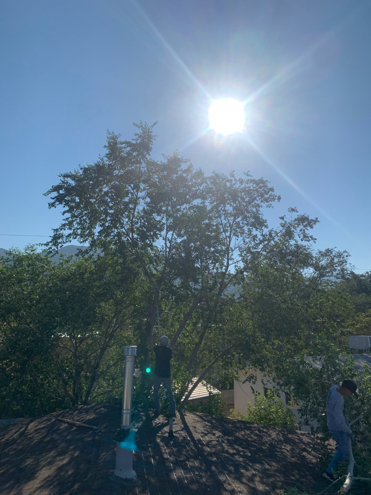 Revision Tree LLC. Albuquerque, NM, 87123 | Networx