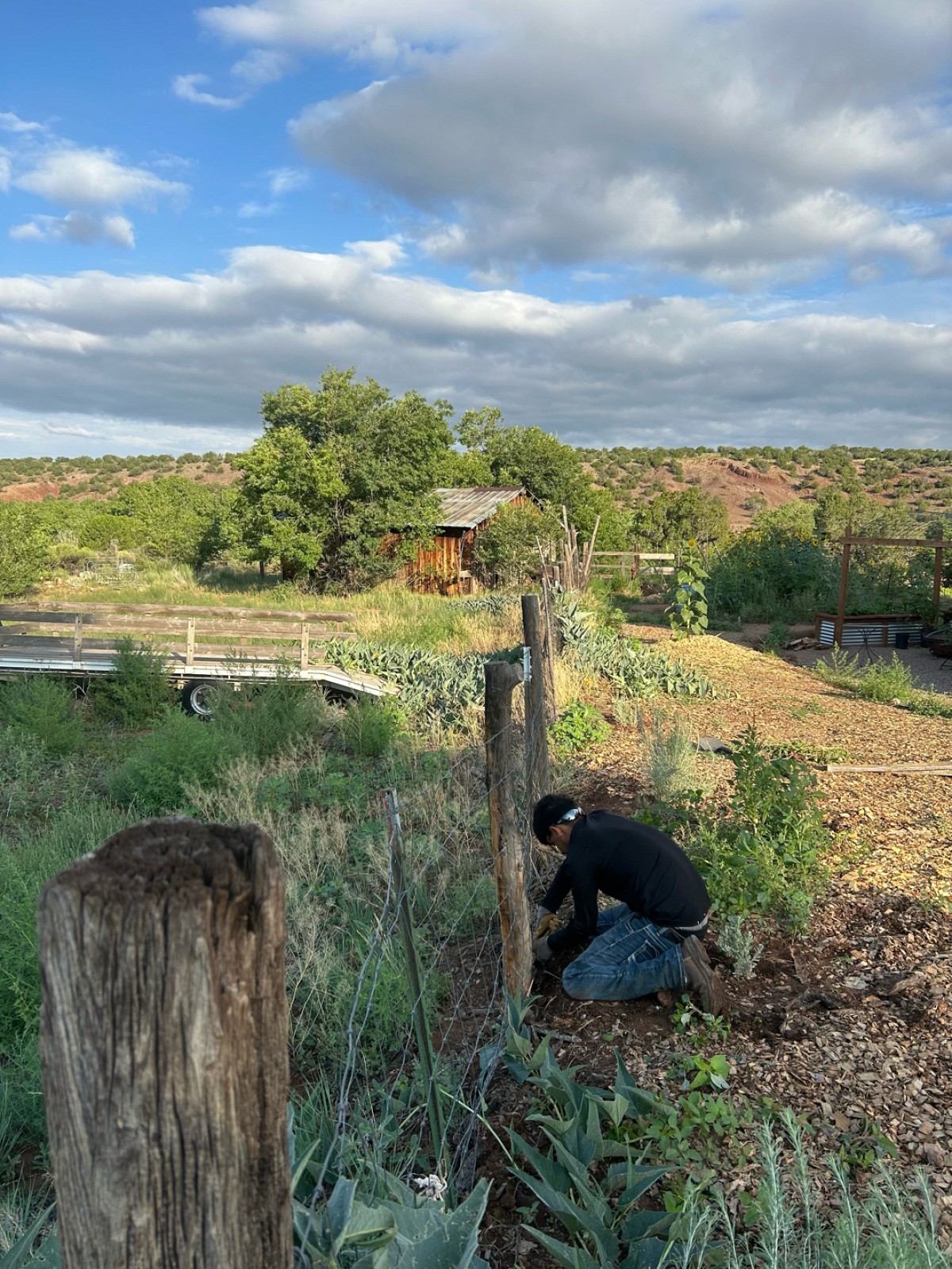 Revision Tree LLC. Albuquerque, NM, 87123 | Networx