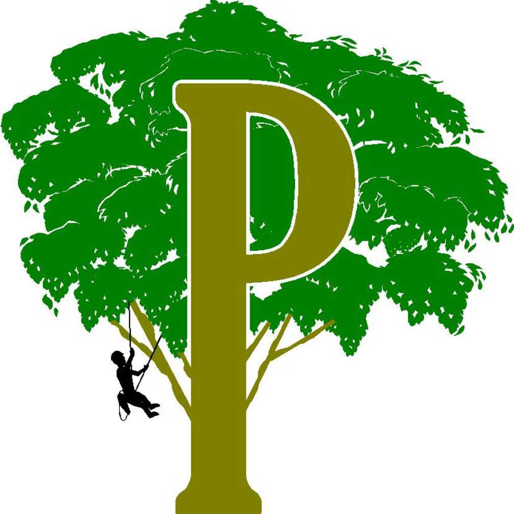 Patterson Tree Service Plus LLC Lebanon, NJ, 08833 | Networx