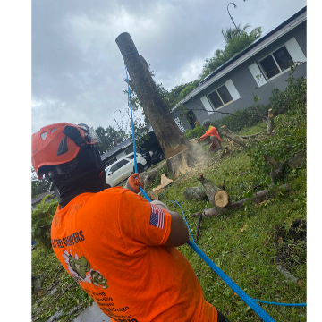 J&A Tree Chompers Fort Lauderdale, FL, 33328 | Networx