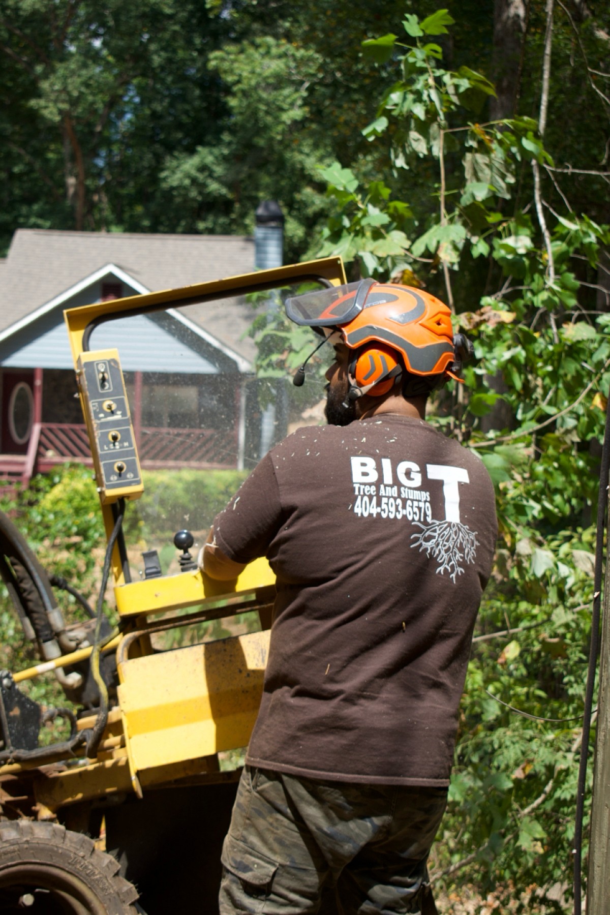 Big T Tree and Stumps Powder Springs, GA, 30127 | Networx