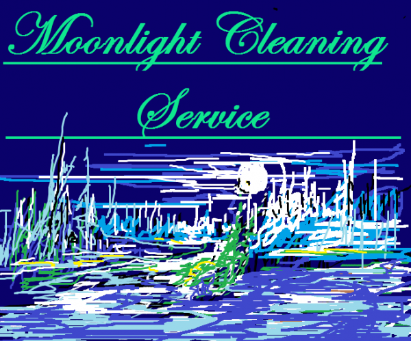 Moonlight Cleaning Service Hamilton, OH, 45013 | Networx
