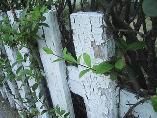 Repurposed Fencing Ideas | Networx