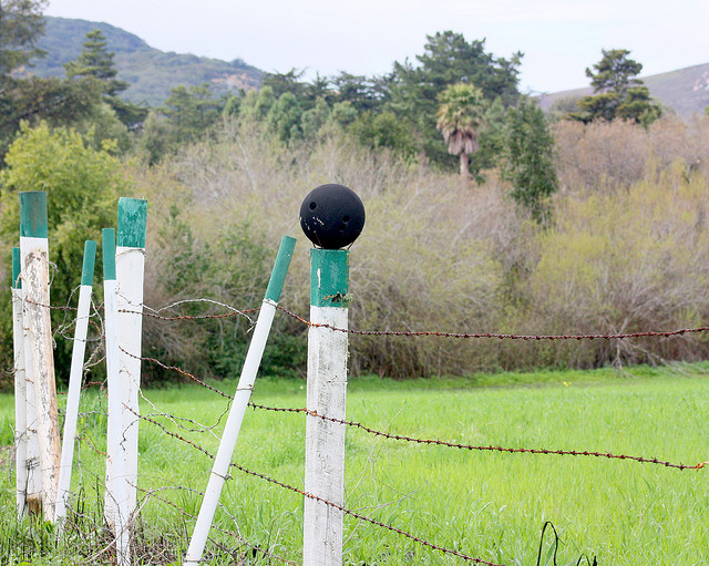 How to Replace a Rotted Fence Post | Networx