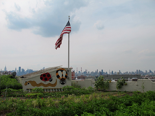 Meet the Brooklyn Grange, World's Largest Rooftop Farm | Networx