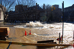 What Happens When a Water Main Breaks? | Networx
