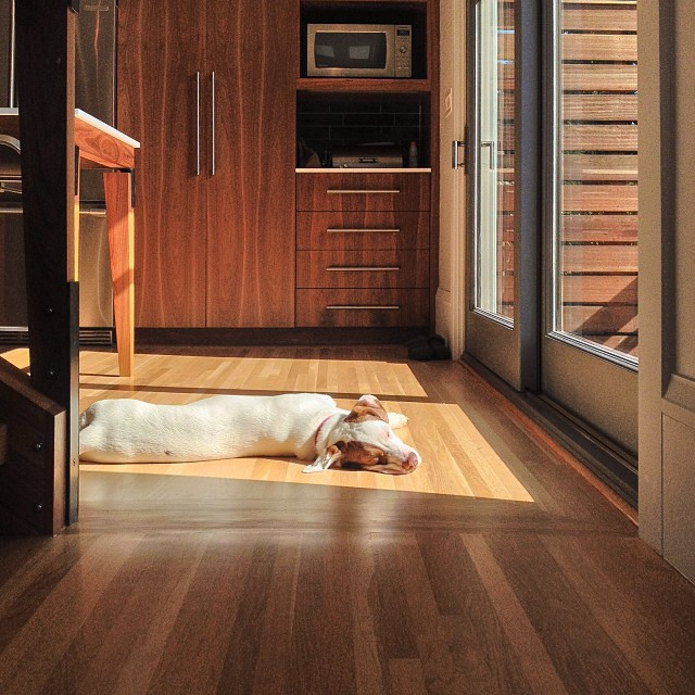 Pick the Right Flooring for the Climate Where You Live | Networx