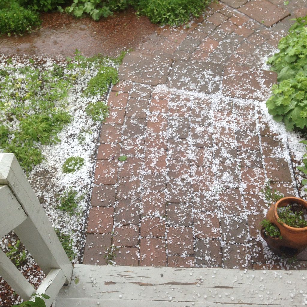 Hail Damage And Your Homeowners Insurance | Networx