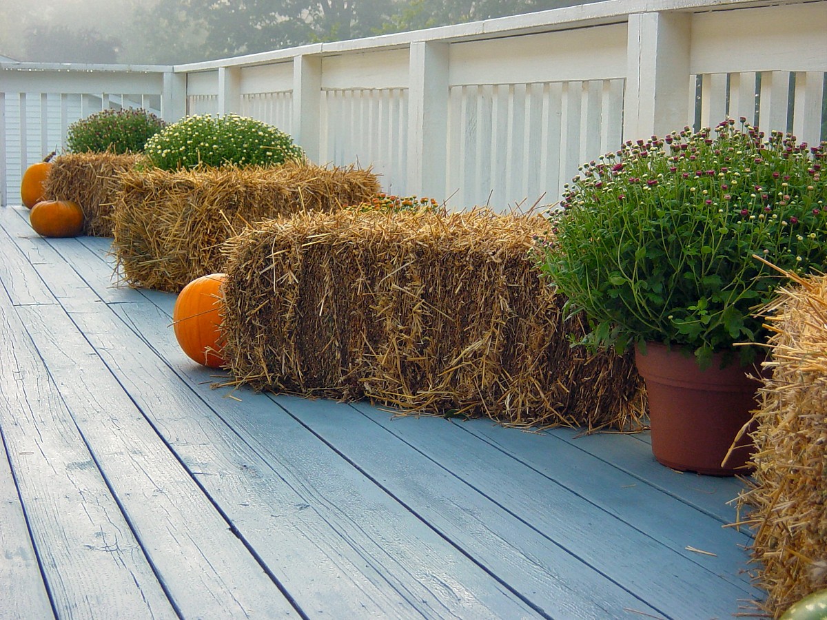4 Ecological Friendly Outdoor Halloween Decorating Ideas | Networx