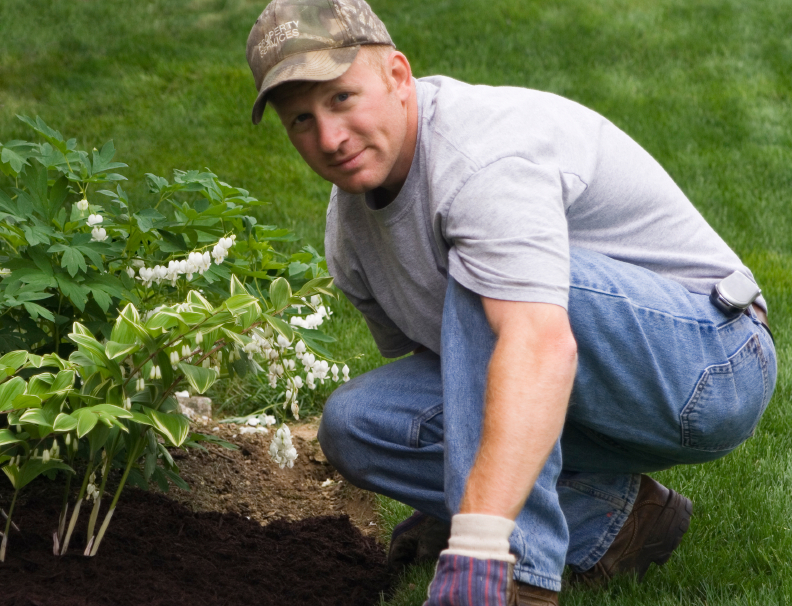 10 Questions to Ask a Gardener Before Hiring | Networx