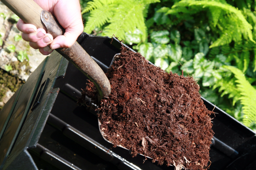 The Joy of Mulching | Networx