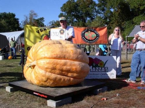 The World's Biggest Vegetables | Networx